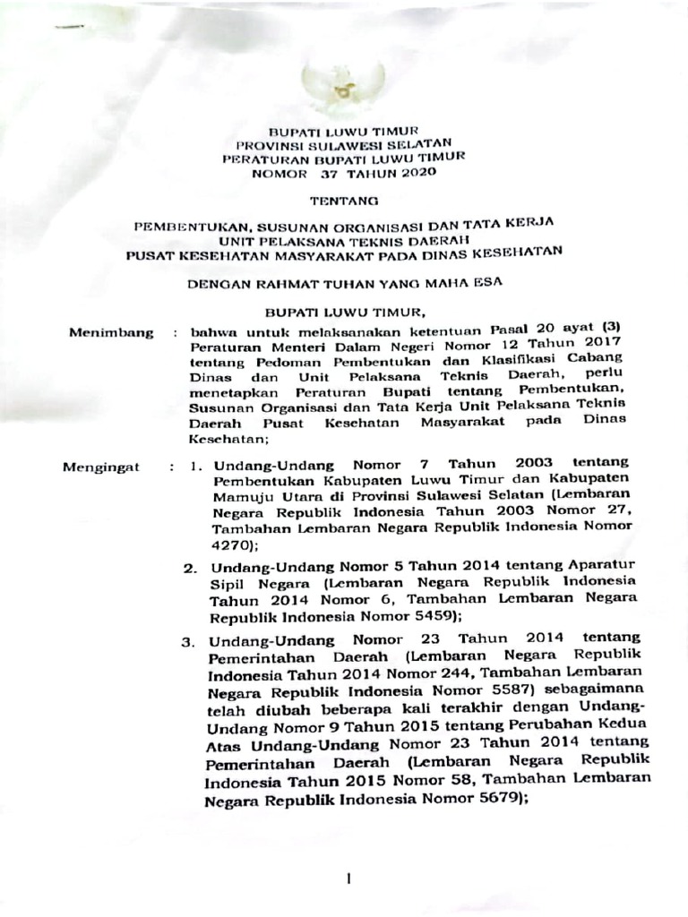 SK KEPALA Dinas TTG Struktur Organisasi PKM | PDF