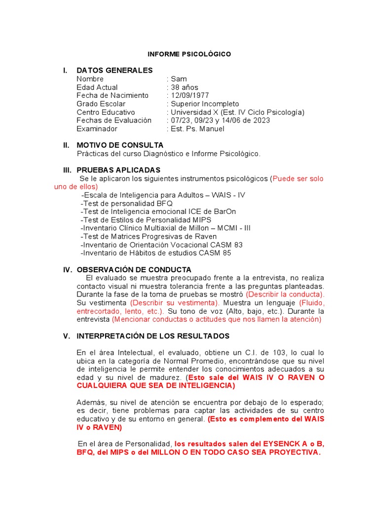 Modelo de Informe Final 1 | PDF