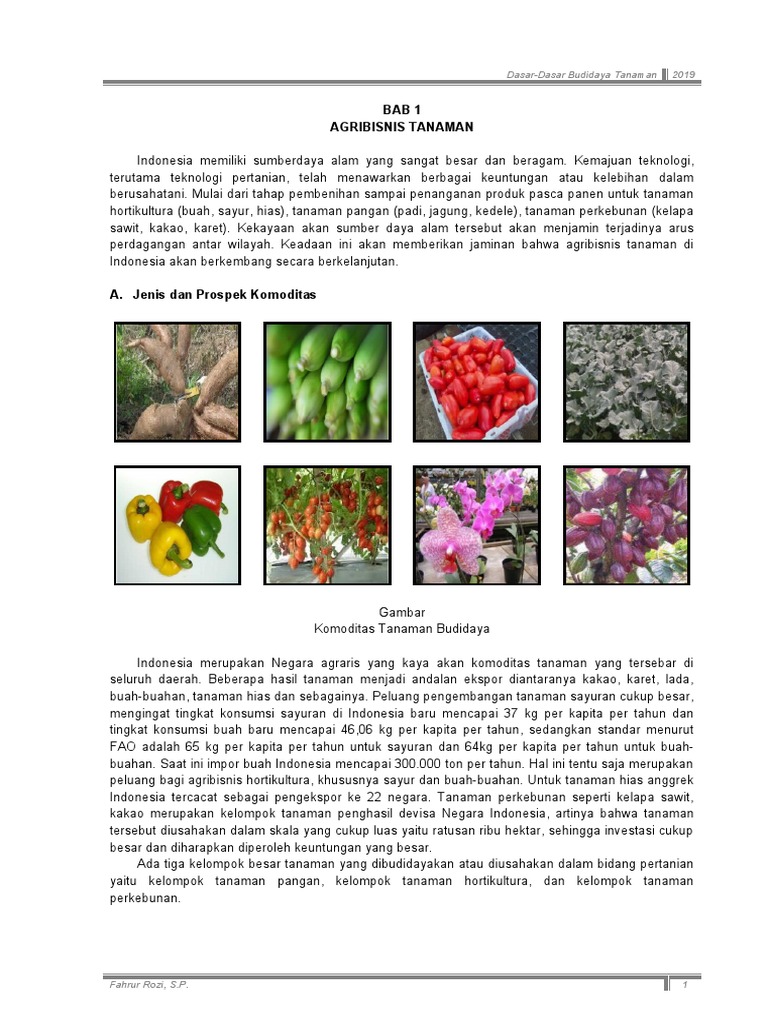 01 Agribisnis Tanaman | PDF