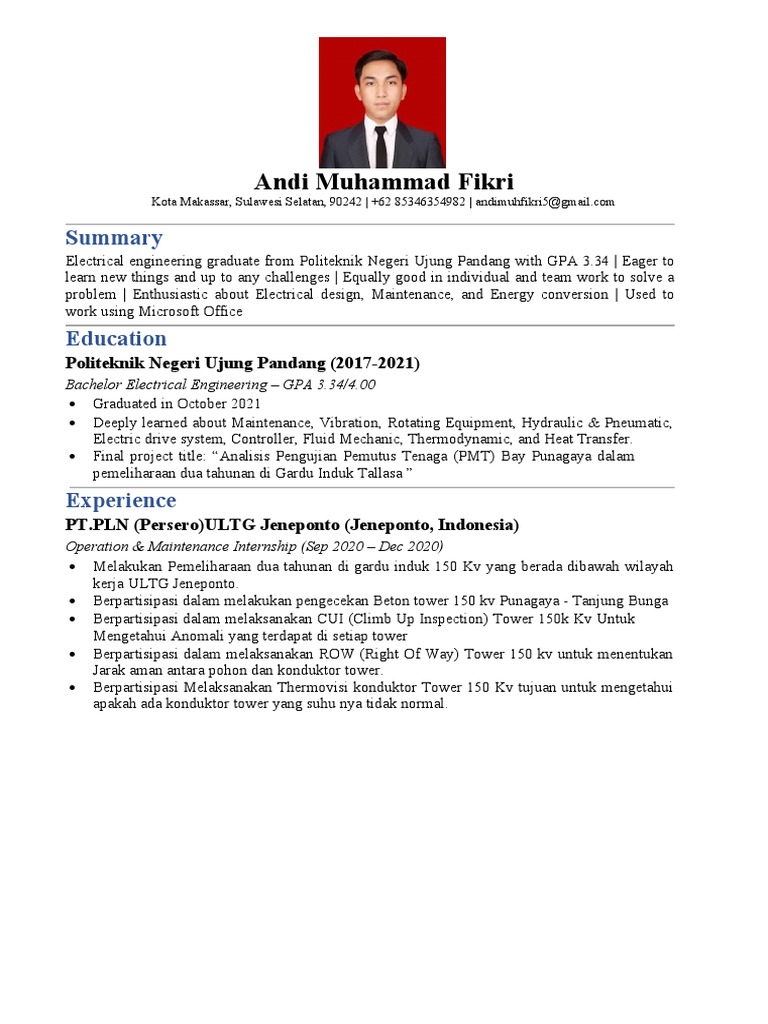 CV Andi Muhammad Fikri | PDF