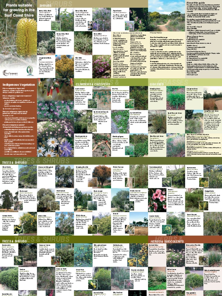 Indigenous Plants for Surf Coast Gardens | PDF