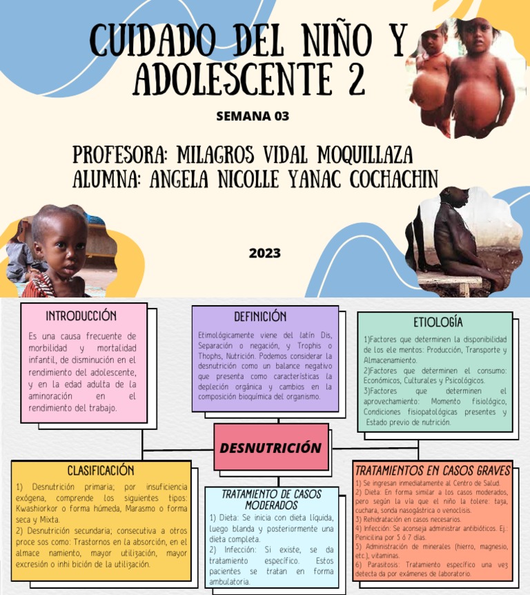 Desnutrición Pdf Pdf