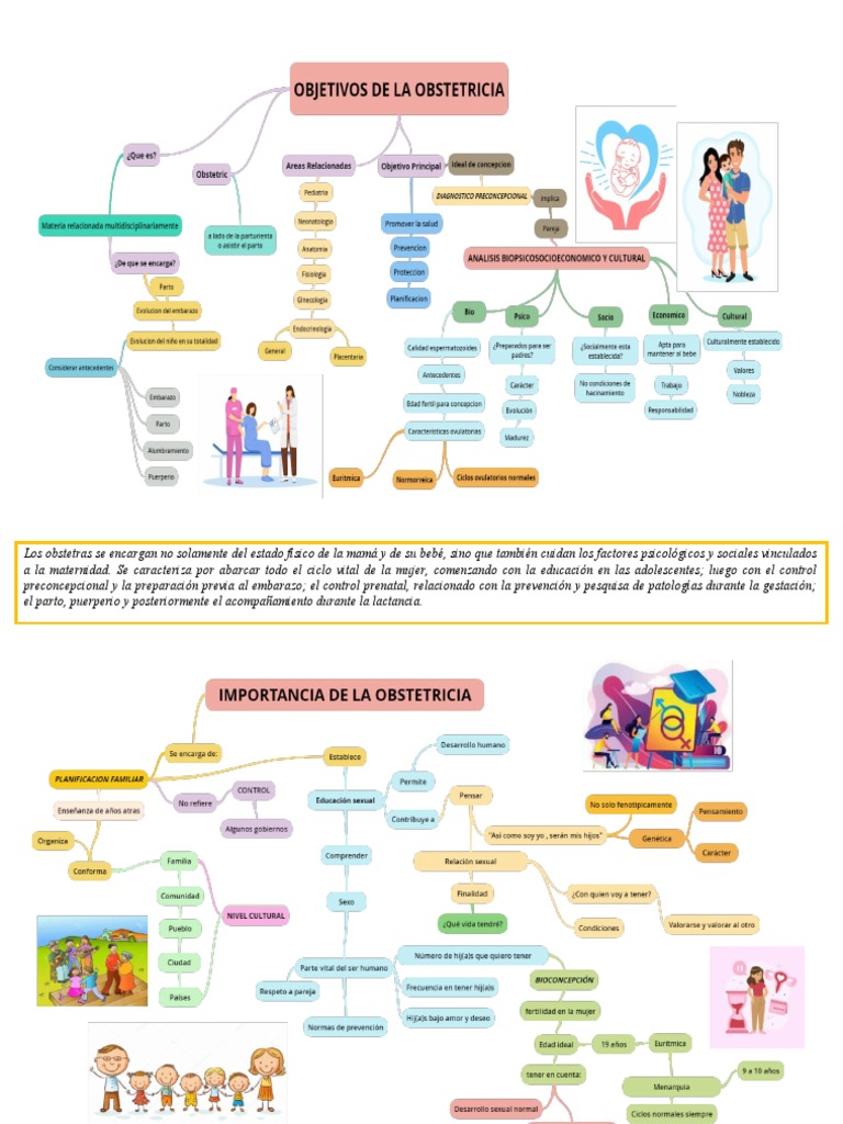 Mapas Conceptuales Obstetricia FINAL | PDF