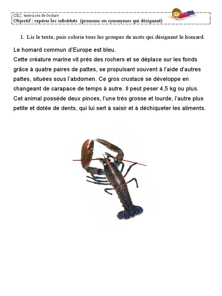 Exercices sur les substituts CE2 | PDF
