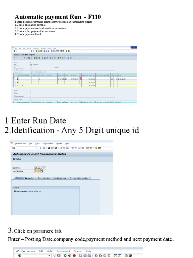 SAP F110 Payment Run Process Guide | PDF