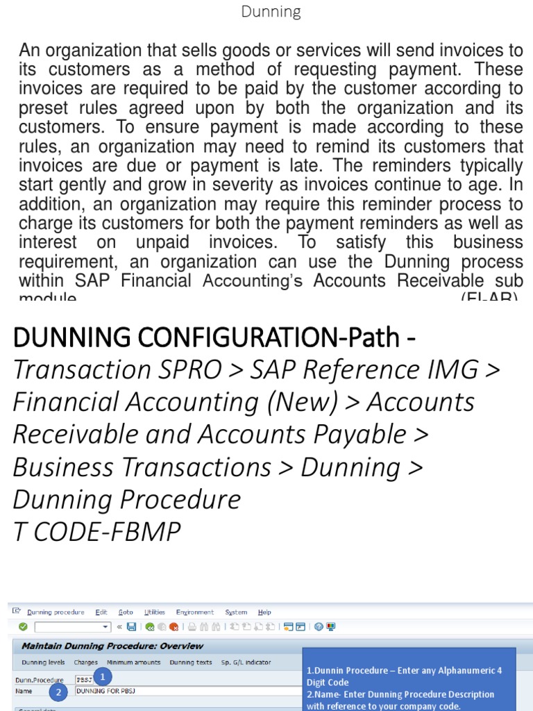 Dunning Procedure Configuration in SAP | PDF