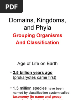 Taxonomy Foldable | PDF | Taxonomy (Biology) | Cell (Biology)