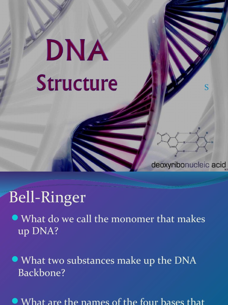 DNA Structure | PDF