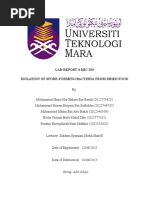 CHM256 Experiment 14 Paper Chromatography | PDF | Chromatography | Chemistry