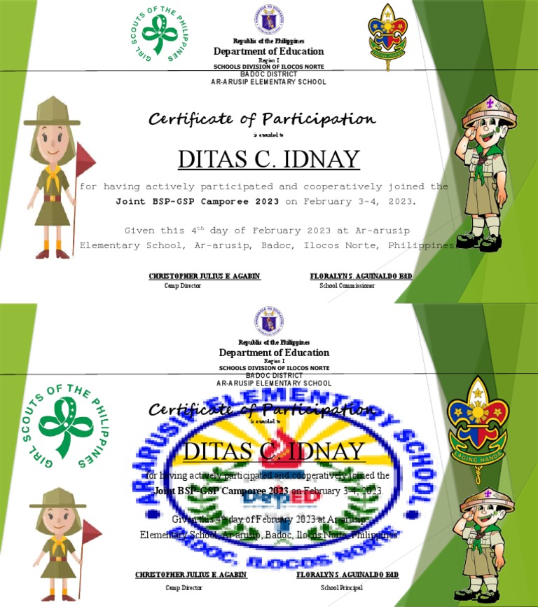 BSP GSP Certificate | PDF