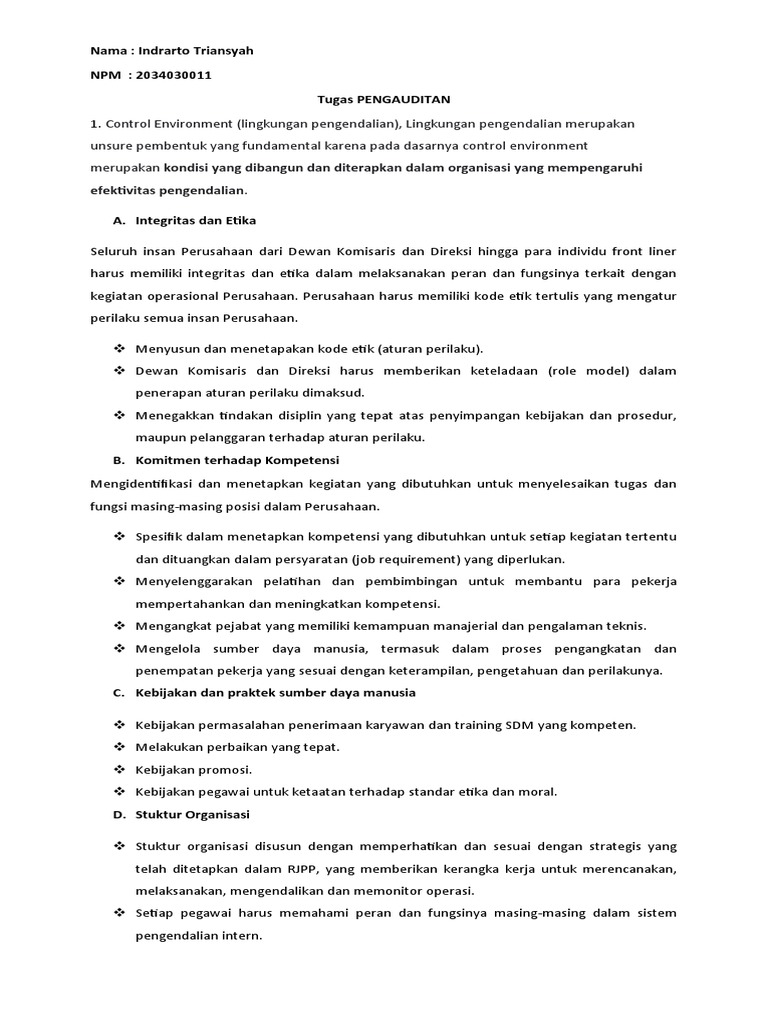 Pengauditan (Indrarto Triansyah 2034030011) | PDF