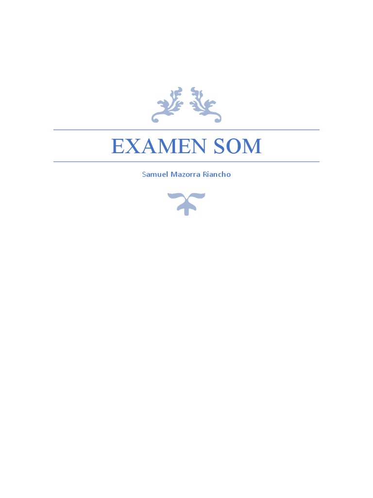 Examen SOM Samuel Mazorra | PDF