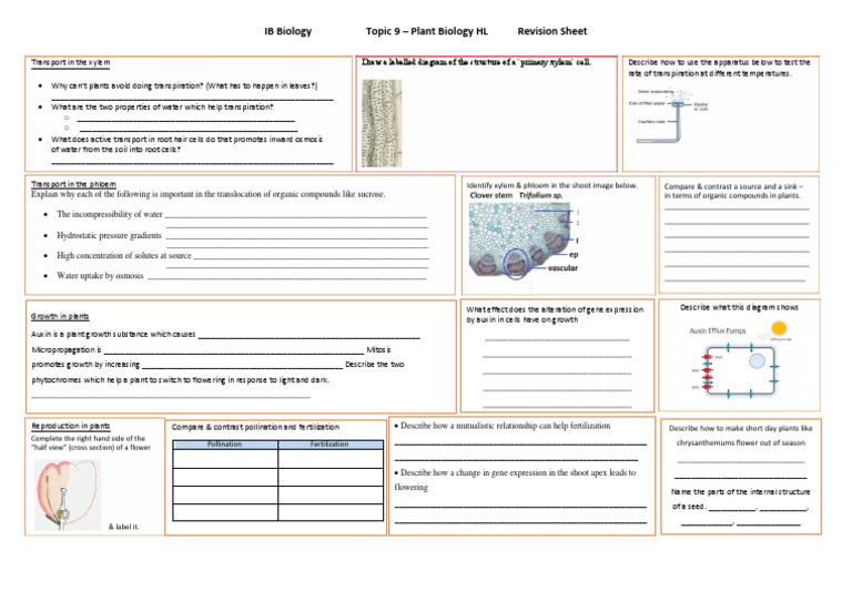 Topic 9 Review PDF | PDF