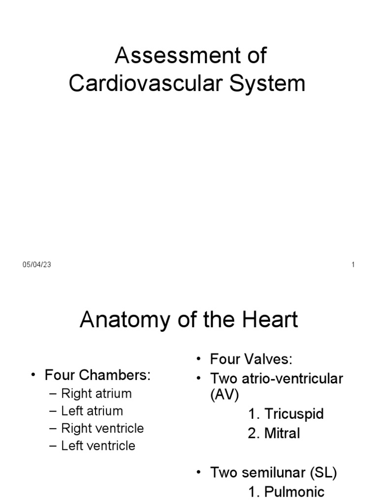 Cardiovascular Assessment 1 PDF