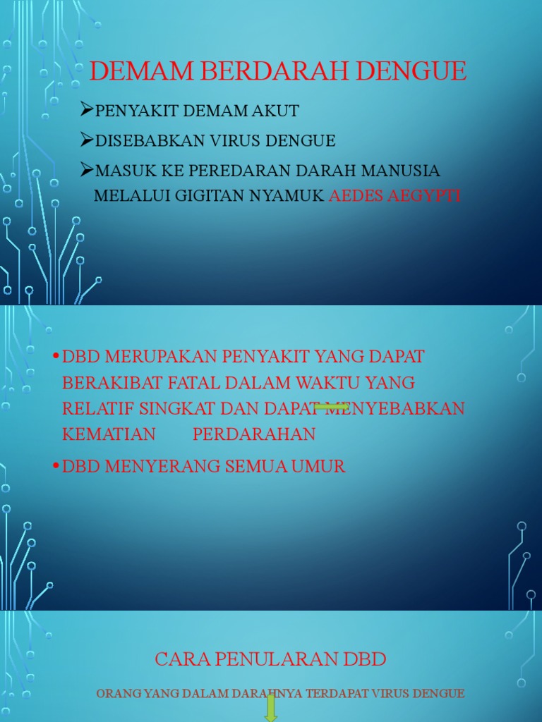 Materi Penyuluhan Demam Berdarah Dengue | PDF