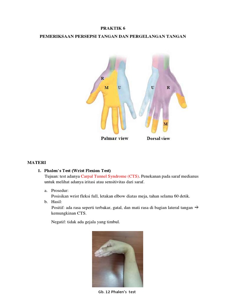 Praktik_6_Pemeriksaan_persepsi_tangan_dan_pergelangan_tangan.pdf | PDF