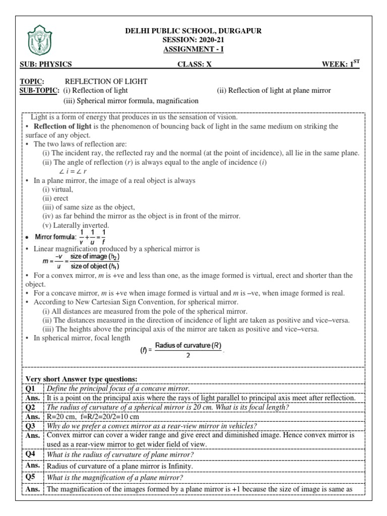 Physics Cl10 Assign1 | PDF