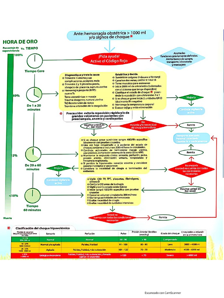 Hemorragia Obstetrica PDF | PDF