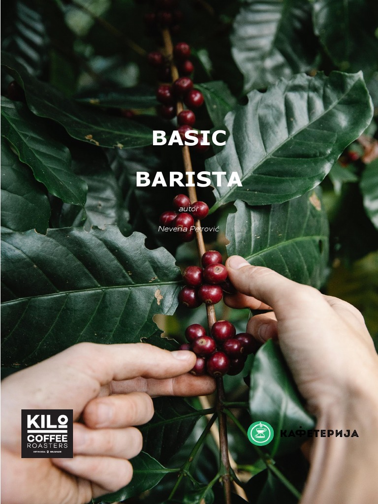 Basic Barista | PDF