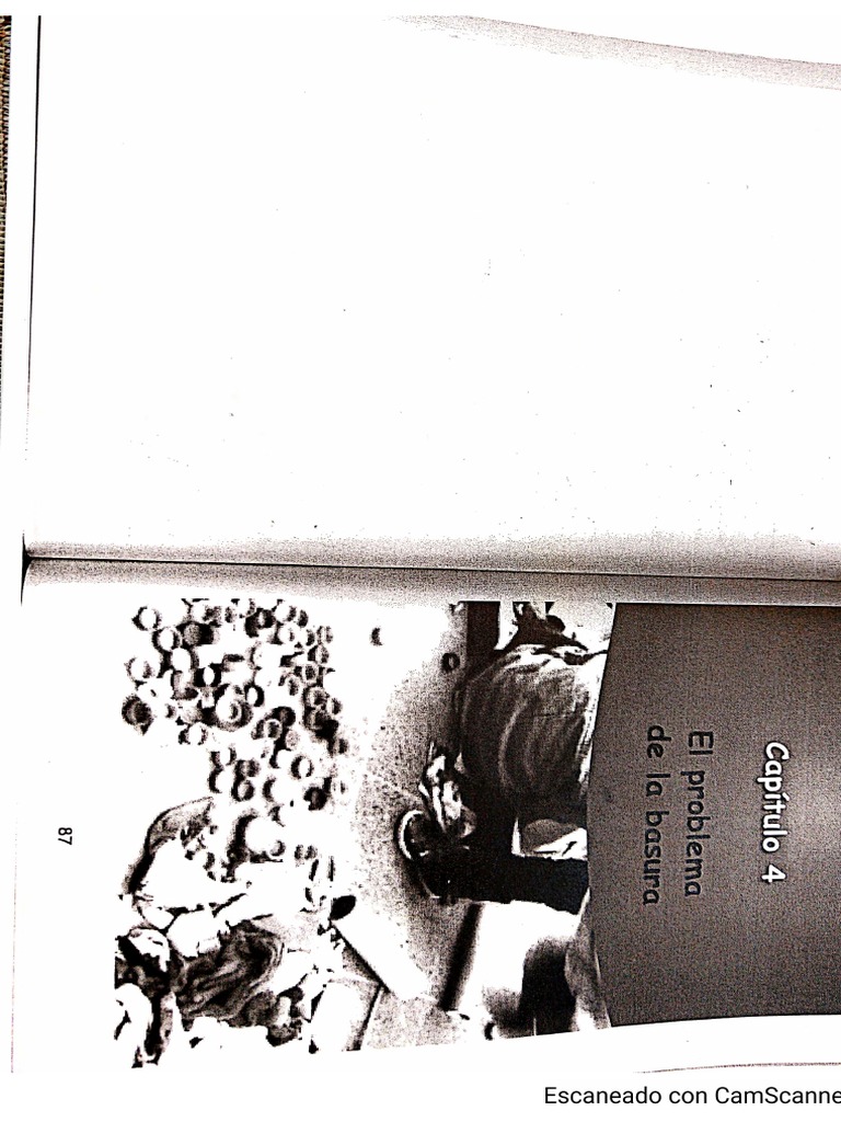 Mendez de Segui Cap 4 PDF | PDF