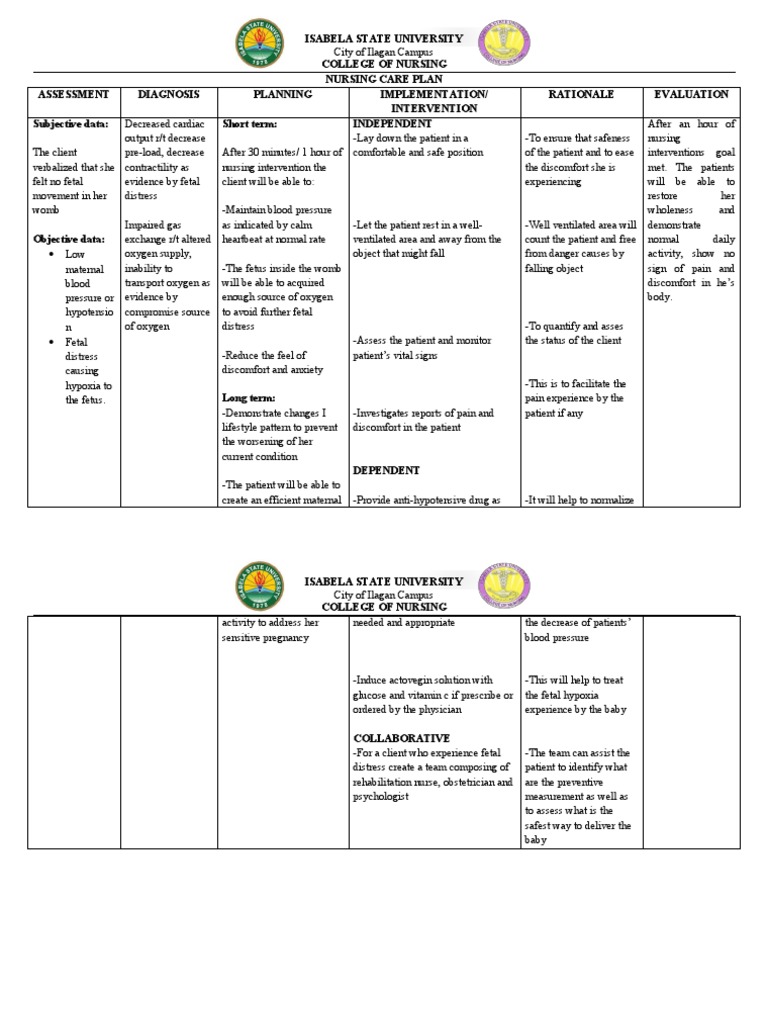 Nursing Care Plan for Labor Pain | PDF