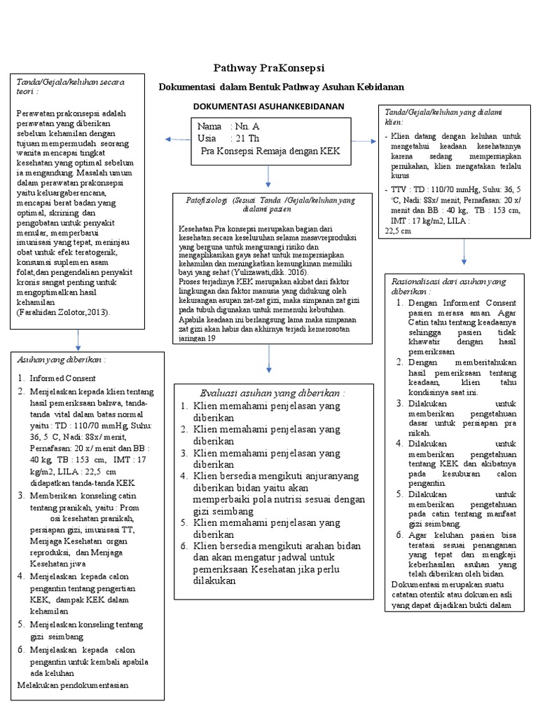 Pathway PraKonsepsi.docx | PDF