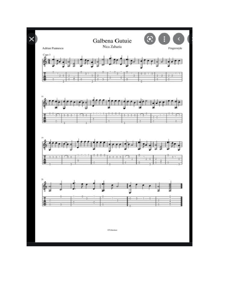 galbena gutuie chitara.docx | PDF