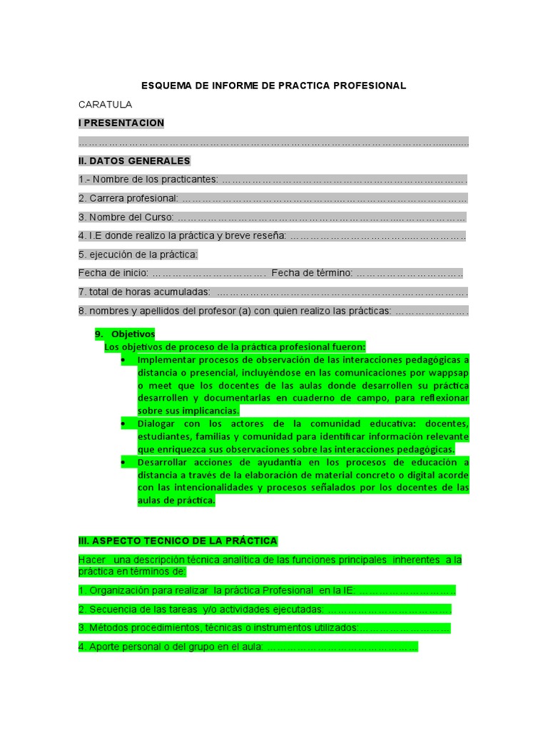 ESQUEMA DE INFORME DE PRACTICA PROFESIONAL.docx | PDF