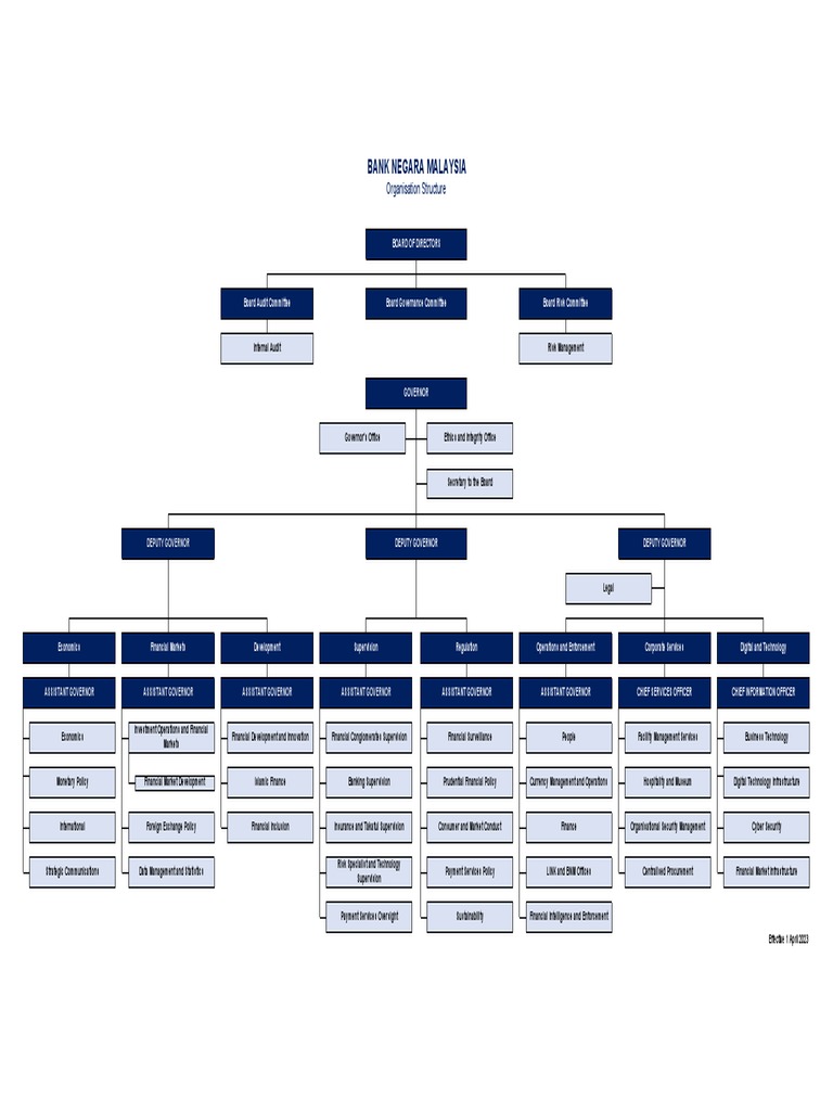 BNM Organisation Chart PDF | PDF