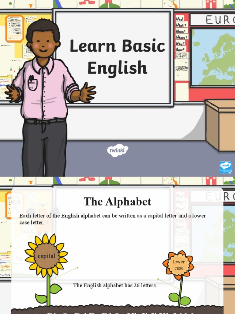 Basic English Vocabulary | PDF