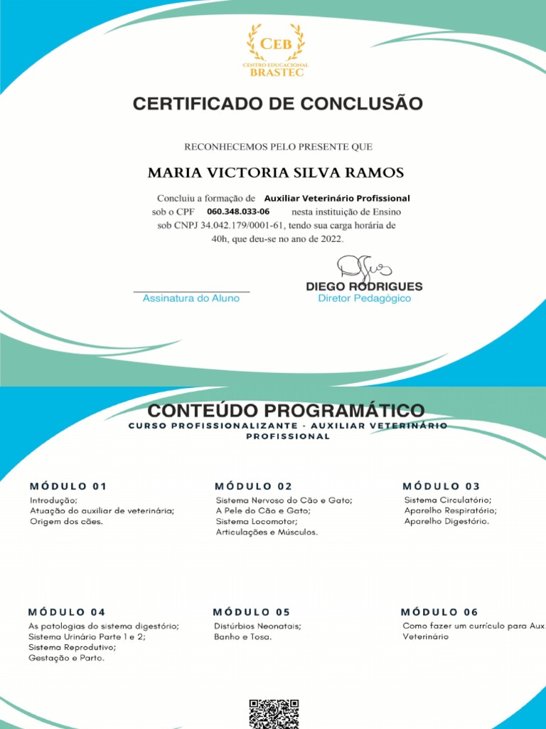 Certificado de Conclusão Do Ensino Médio | PDF