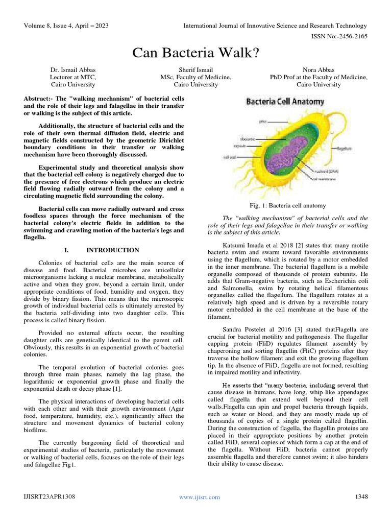 Can Bacteria Walk | PDF | Social Science | Wellness
