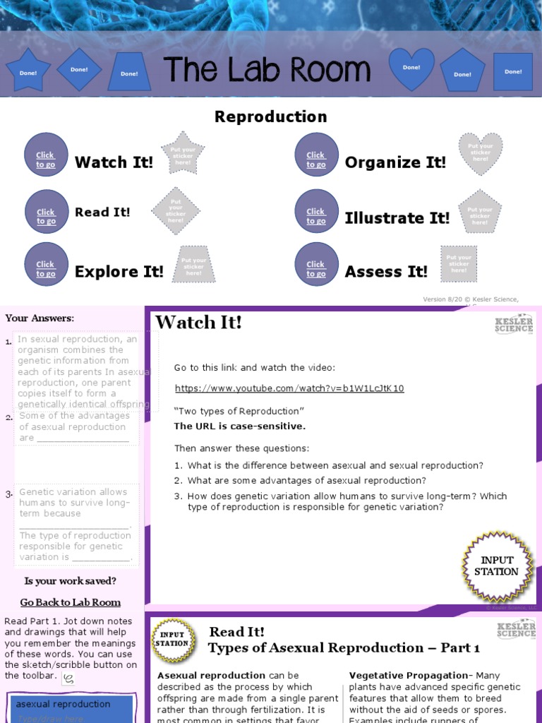 2022 Reproduction Station Lab | PDF
