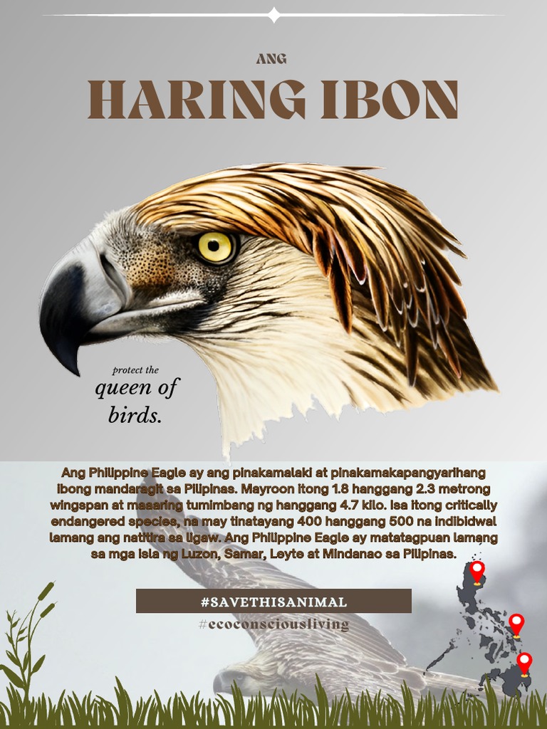 Haring Ibon | PDF