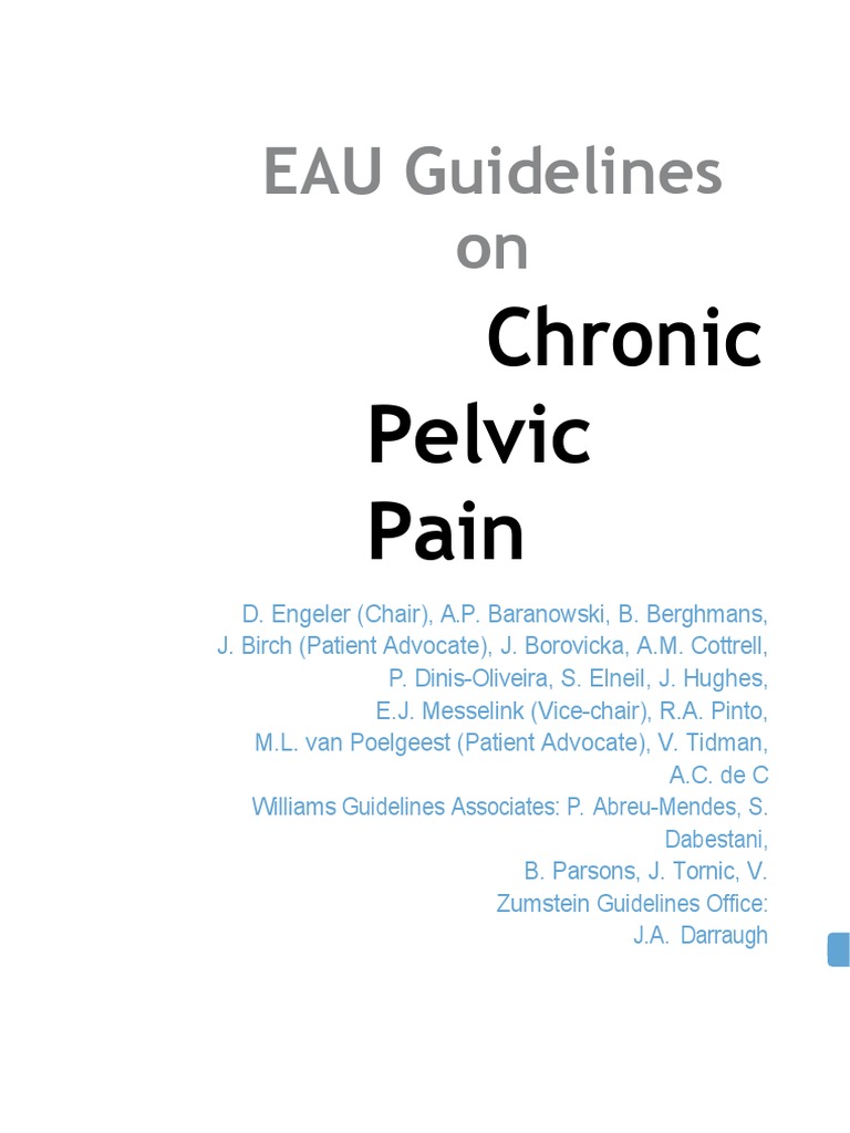 Chronic-Pelvic-Pain-2 - Umut Arslan (33-76) | PDF | Pain | Chronic Pain Chronic-Pelvic-Pain-2 - Umut Arslan (33-76) | PDF | Pain | Chronic Pain