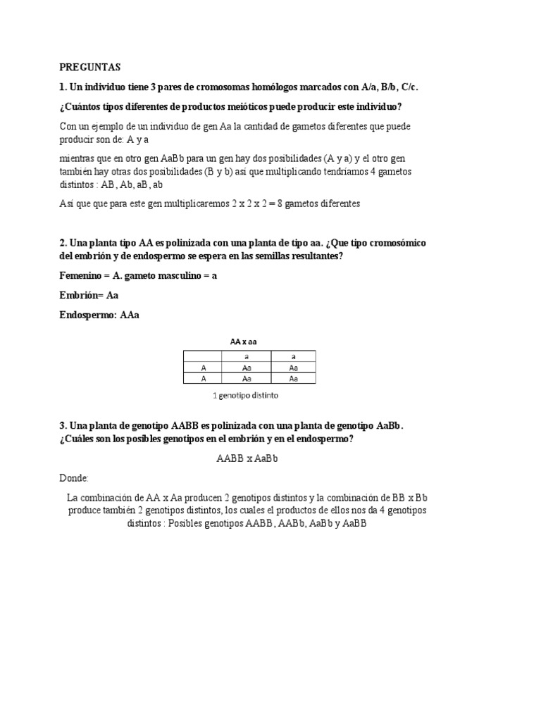 Genética Vegetal: Meiosis, Mitosis y Ploidía | PDF