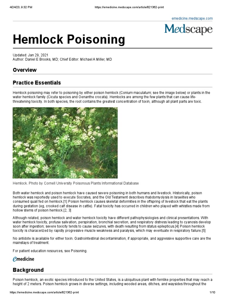 Understanding Hemlock Poisoning: Causes, Symptoms, Diagnosis and ...