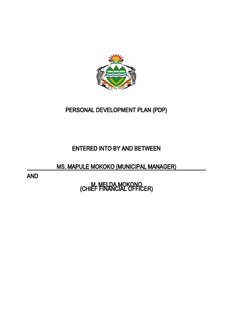 CFO Personal Development Plan | PDF