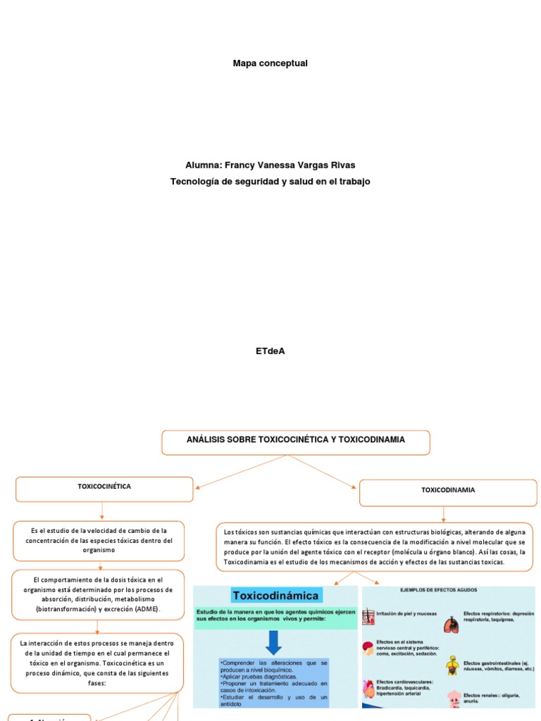 Mapa Conceptual T PDF | PDF | Toxicidad | Química