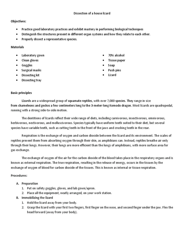Dissection of A House Lizard PDF | PDF