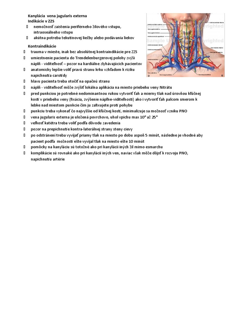 Kanylácia Vena Jugularis Externa | PDF