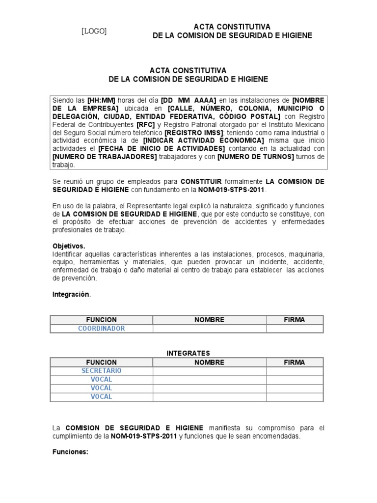 Acta de La Comision de Seguridad e Higiene | PDF