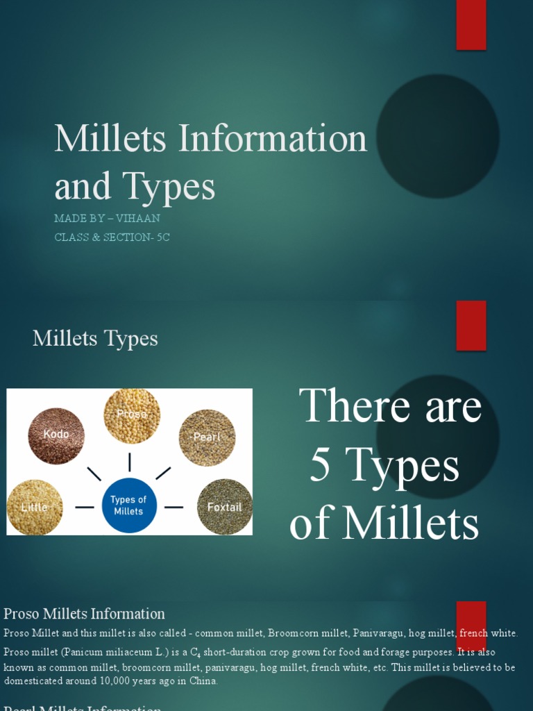 Millets Information and Types | PDF