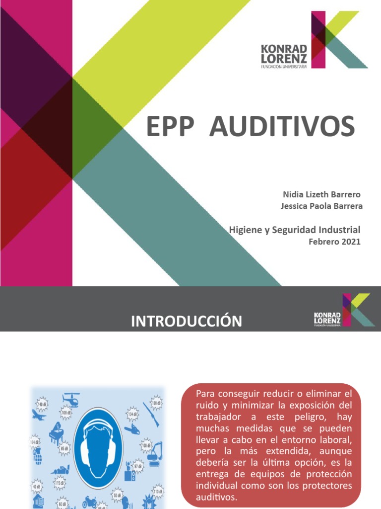 Selección de EPP Auditivo Efectivo | PDF