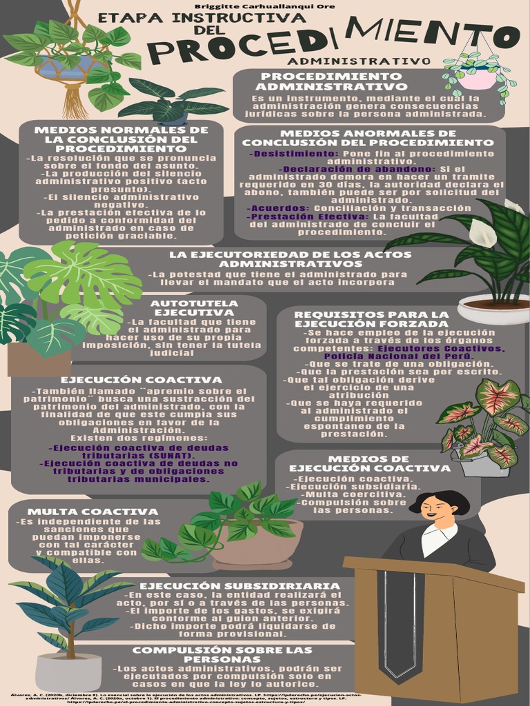 Procedimiento Administrativo Sem6 PDF | PDF