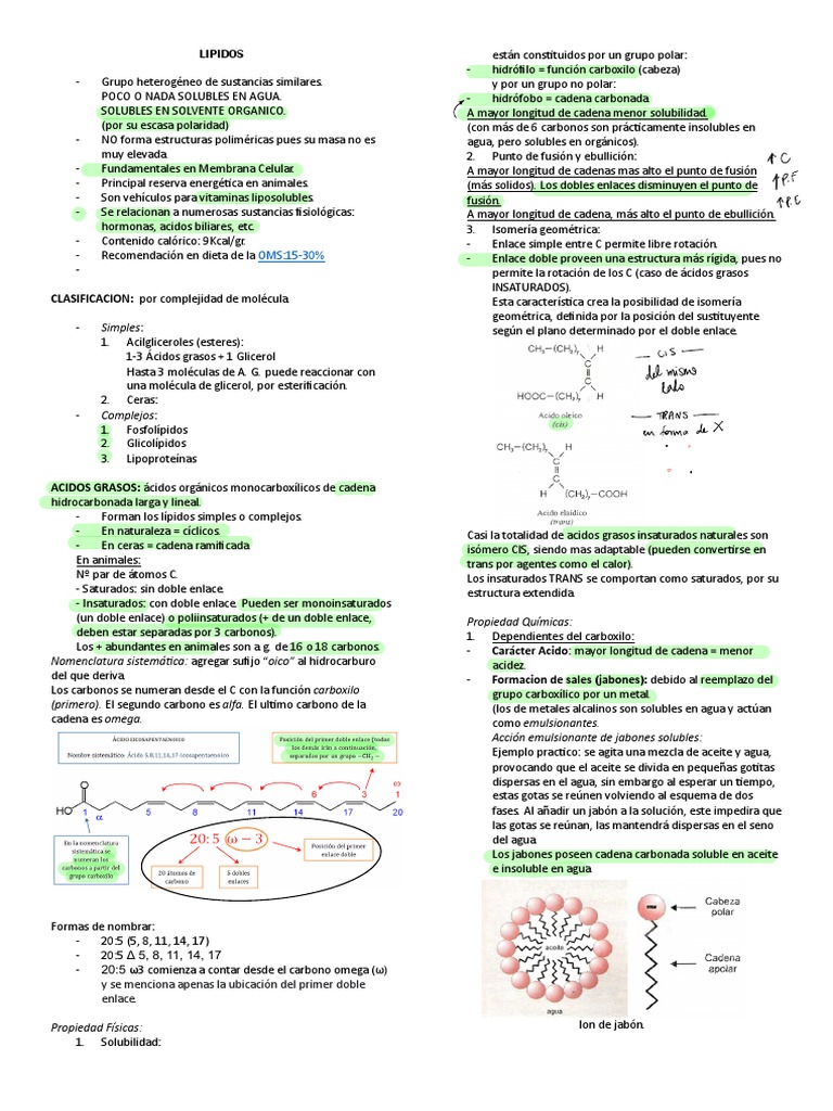 Lipidos Pdf Pdf Lípido ácido Graso