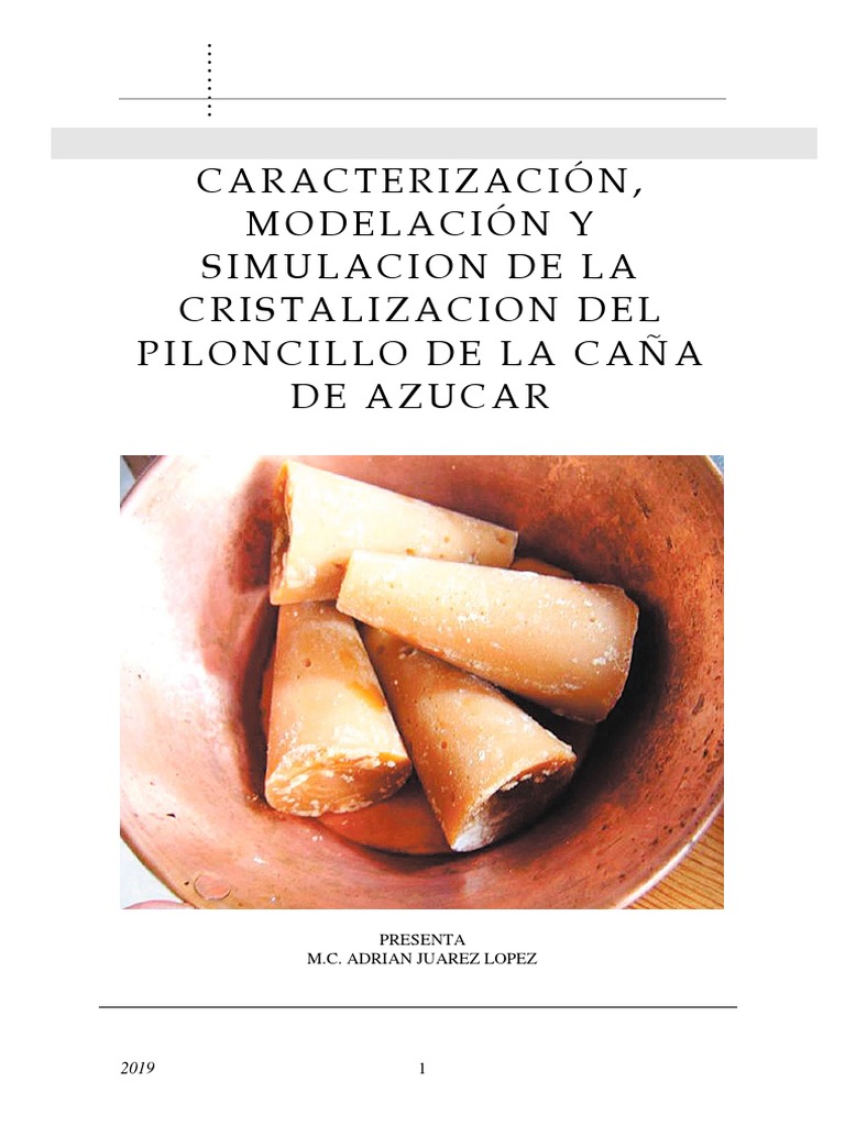 Caracterización, Modelación y Simulacion de La Cristalizacion Del ...