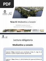 Netter Corazon | PDF | Ventrículo (corazón) | Corazón