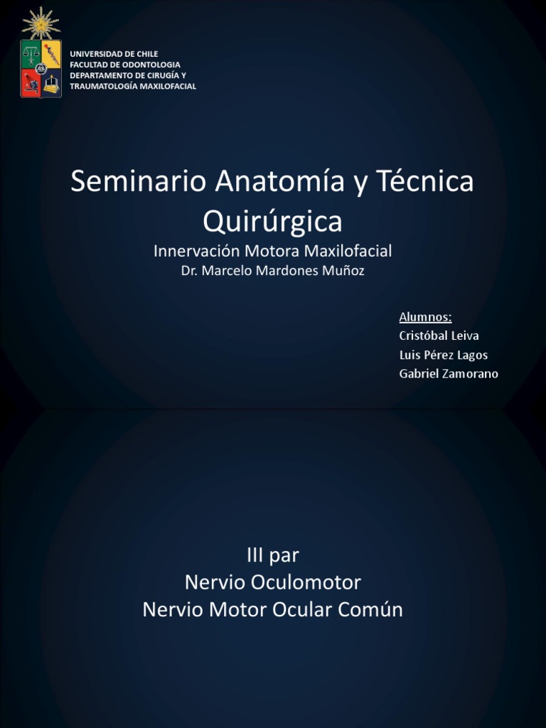 Inervación motora | PDF