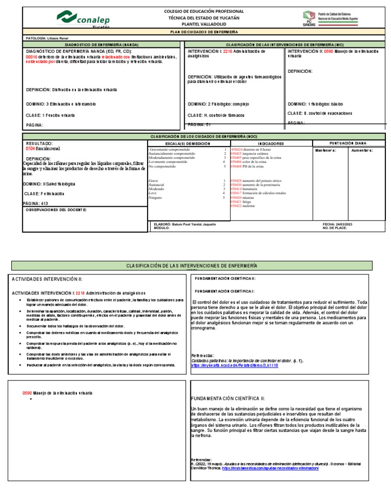 Formato Place-Conalep | PDF | Dolor | Medicamentos con receta